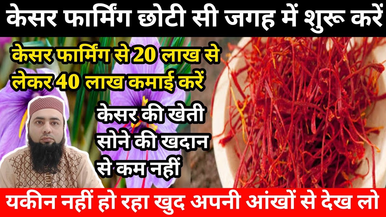 केसर फार्मिंग से 20 लाख से लेकर 40 लाख कमाई करे Kesar Farming Business ...