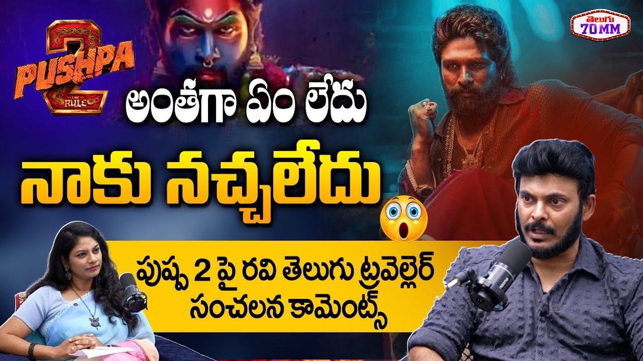 Ravi Telugu Traveller Shocking Comments on Pushpa 2 Movie | Allu Arjun ...