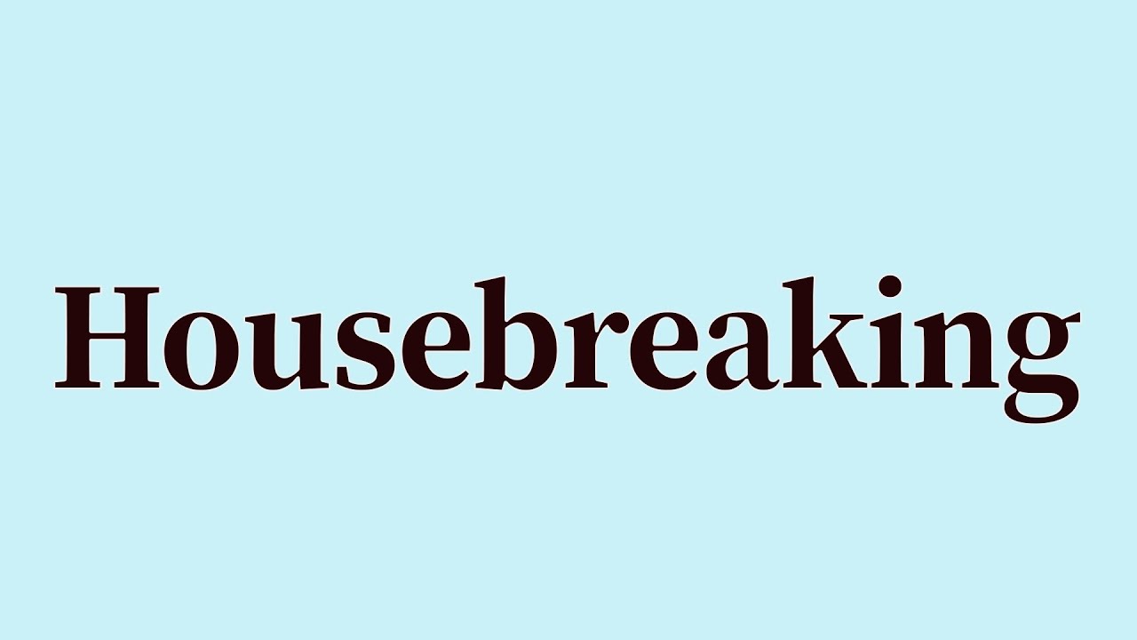 Housebreaking Pronunciation and Meaning - YouTube