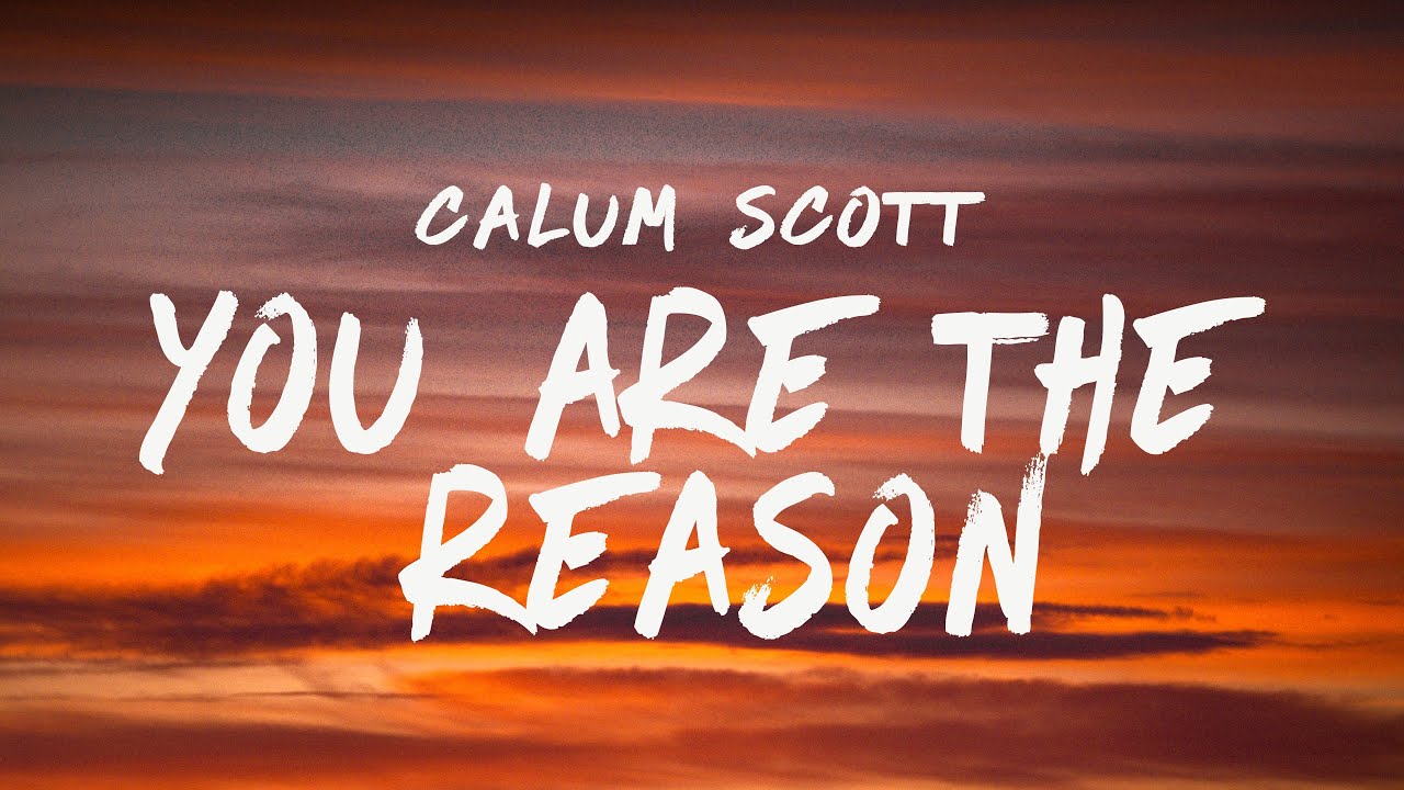 Calum Scott - You Are The Reason (Lyrics) - YouTube