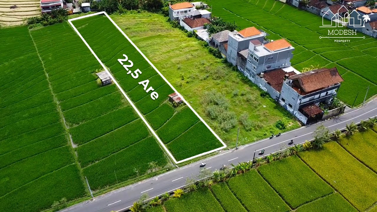 Front Road 22,5 Are Rectangular-Shaped Land - YouTube