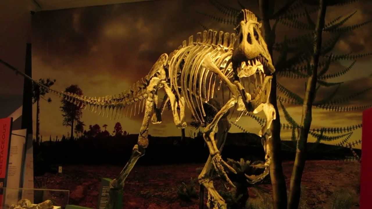 DINOSAURS IN TORONTO | LEAHMOUSE VLOG - YouTube