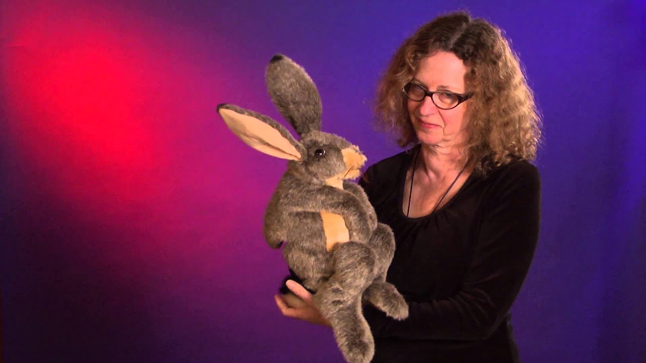 Folkmanis® Jack Rabbit Puppet Demo - Retired - YouTube
