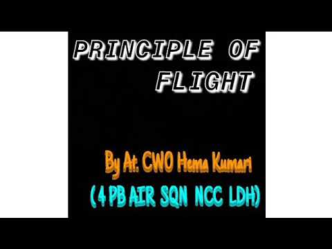 Principle of Flight - YouTube