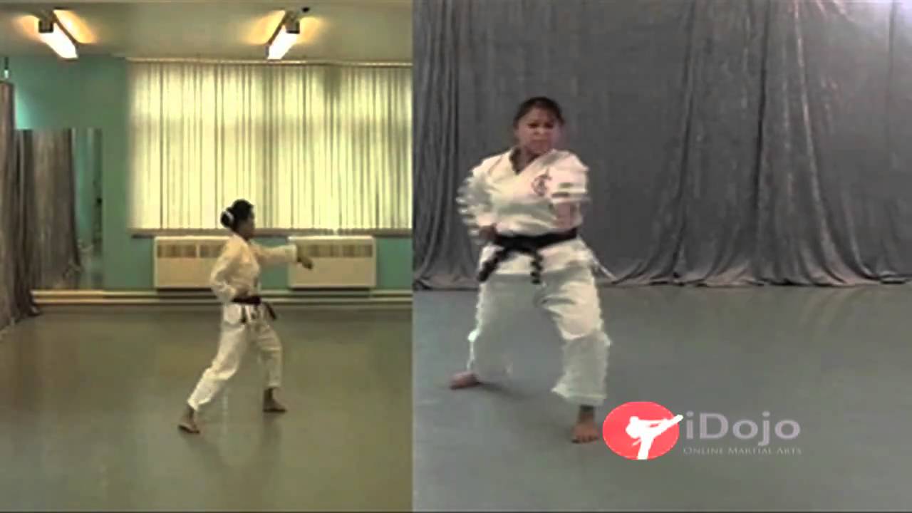 PREVIEW - Kaizen Ryu Basic Kata (Vol 1) - YouTube