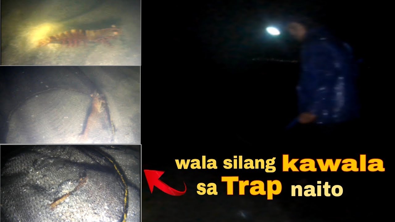 panghuhuli ng hipon sa gabi gamit ang 'Taklobay' o kulpo catch and cook ...