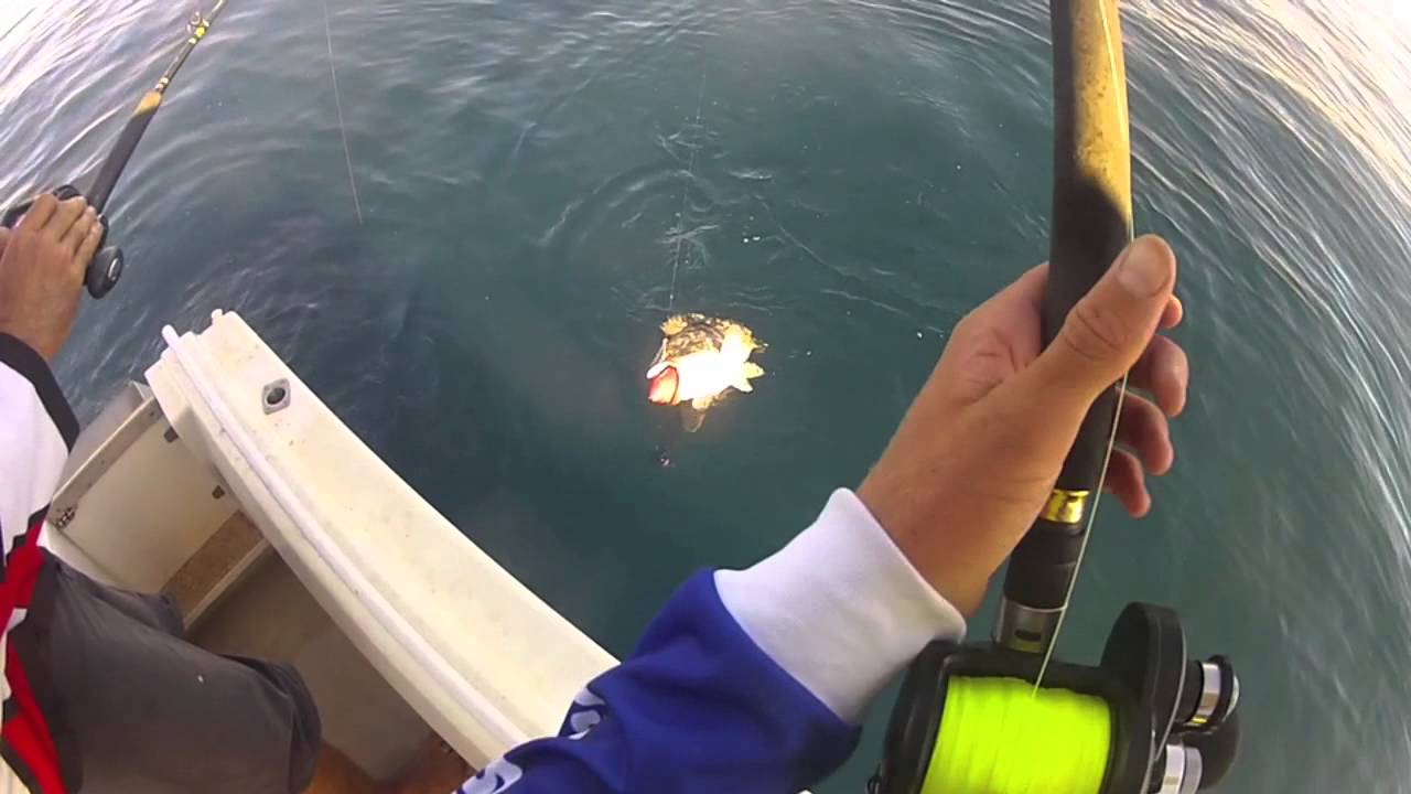 Vexed Jigs at the Montebellos - YouTube