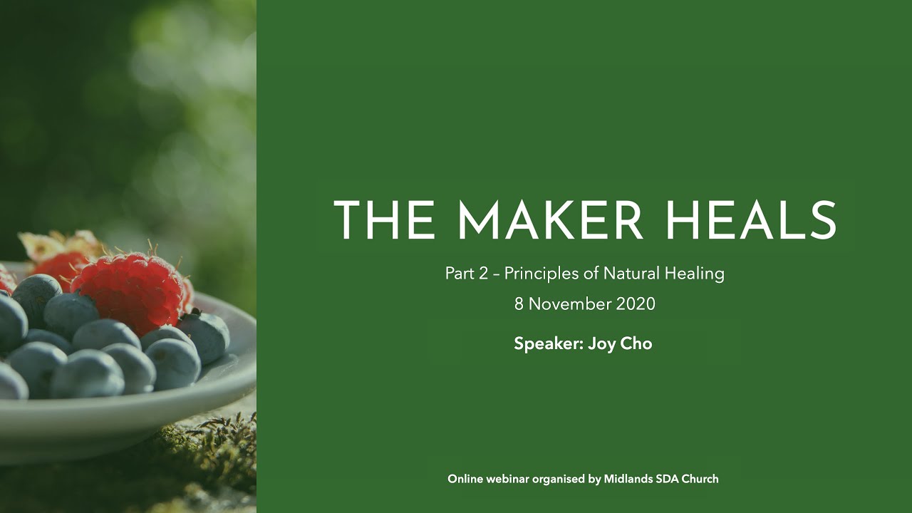 The Maker Heals Webinar Part 2 - Principles of Natural Healing - YouTube
