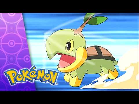 Different Strokes For Different Blokes! | POKÉMON FULL EPISODE 6 | Season 10