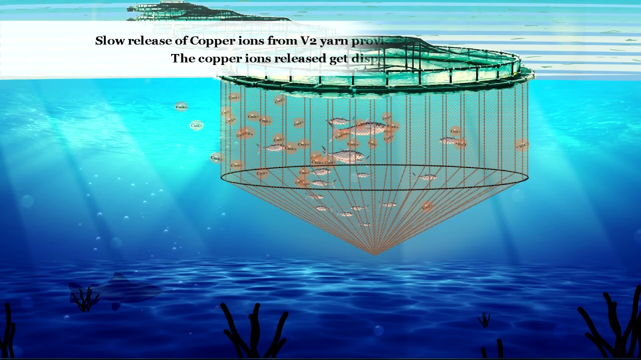 Garware’s V2 Technology - World’s first in-built anti fouling ...