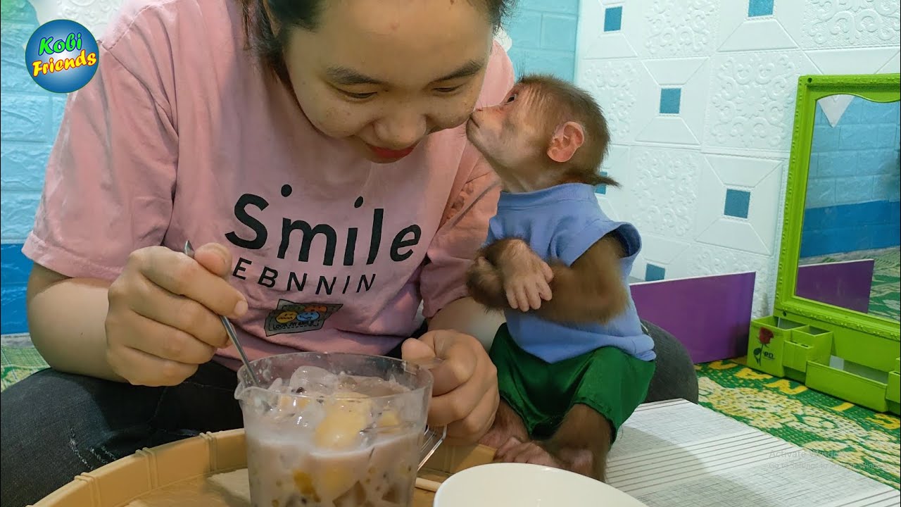 Kobi Monkey showing love to mom so cute - YouTube