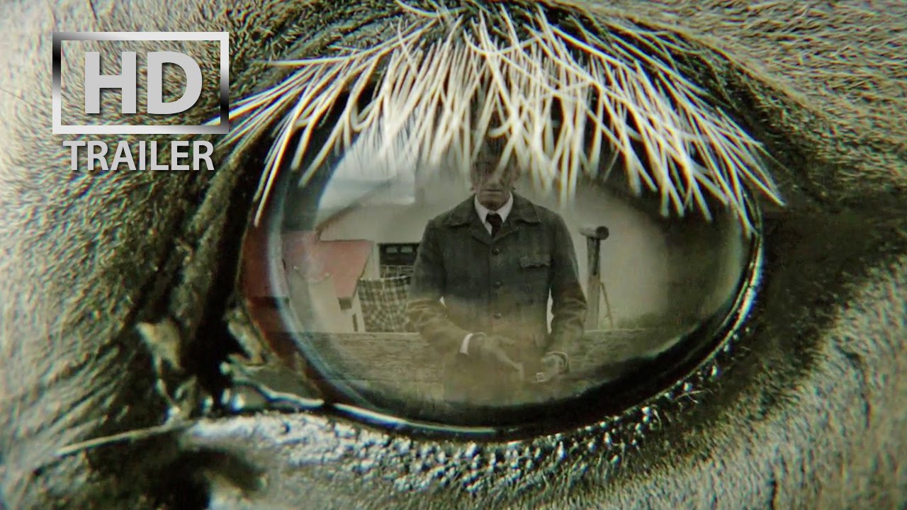 Of Horses And Men - Hross í oss | official trailer US (2015) Ingvar ...