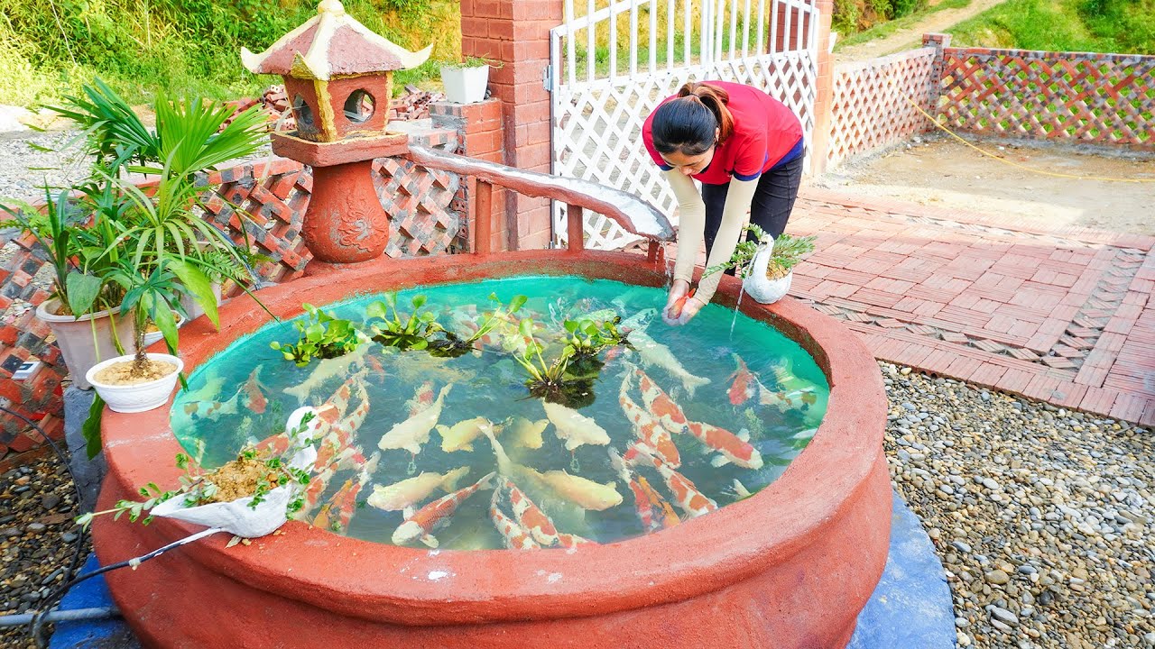 Building A Unique Aquarium Using Bricks And Cement, Raise KOI Fish ...