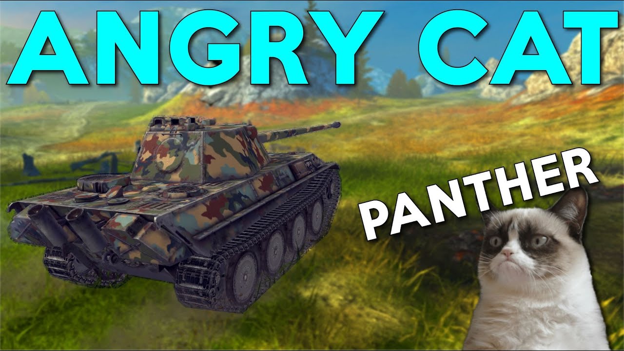 WOTB | THIS IS ONE ANGRY CAT! - YouTube