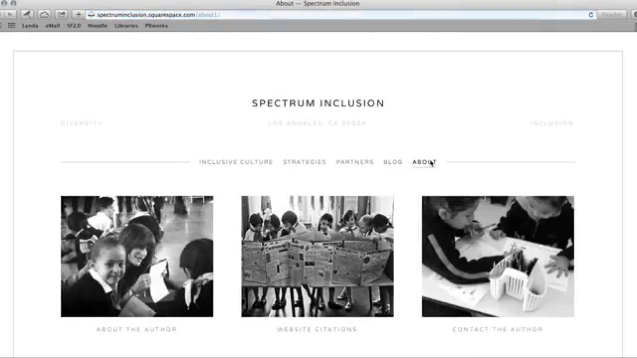 Spectrum Inclusion Website Introduction - YouTube