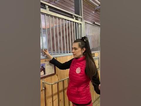 Денники для лошадей купить - YouTube