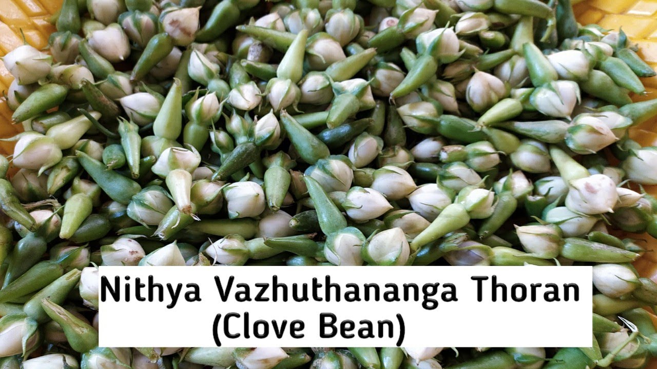 Nithya Vazhuthananga Thoran / Clove Bean - YouTube