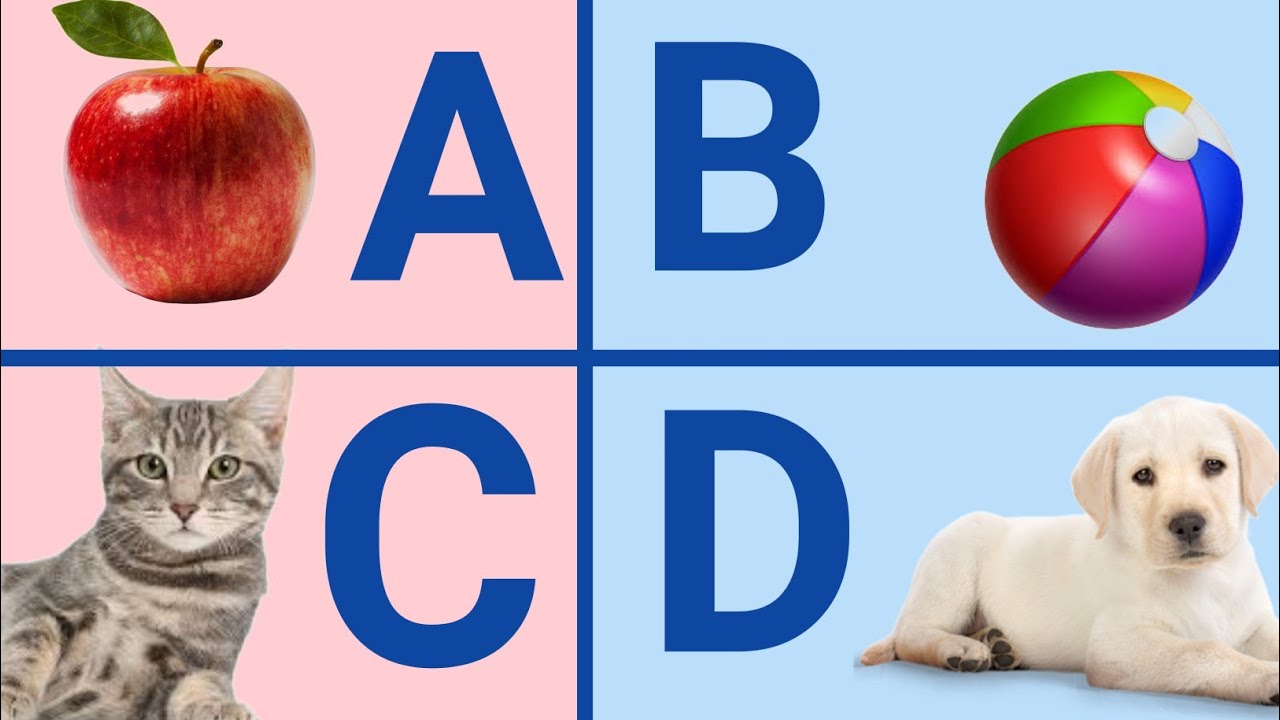 a for Apple b for ball c for cat d for dog ,all Alphabet with cartoon ...