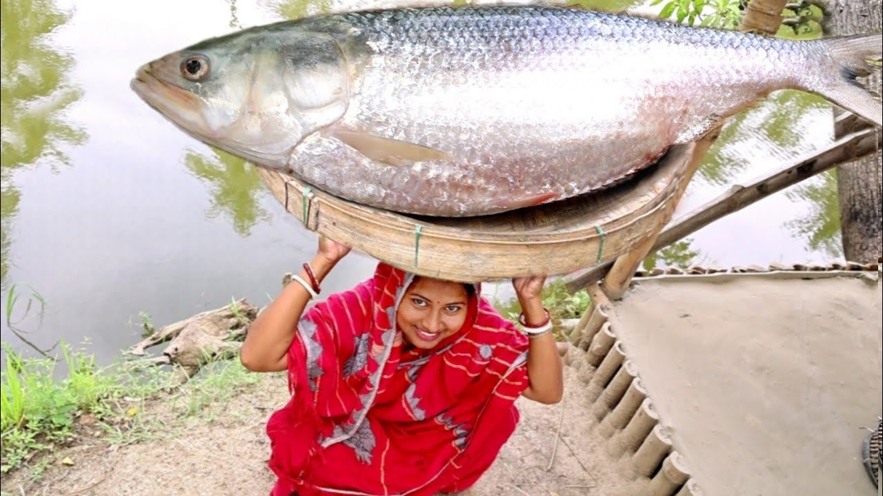 আবার একবার বিশাল বড় সাইজের পদ্মার ইলিশ মাছ কেটে রান্না করলাম,এবার 2 ...