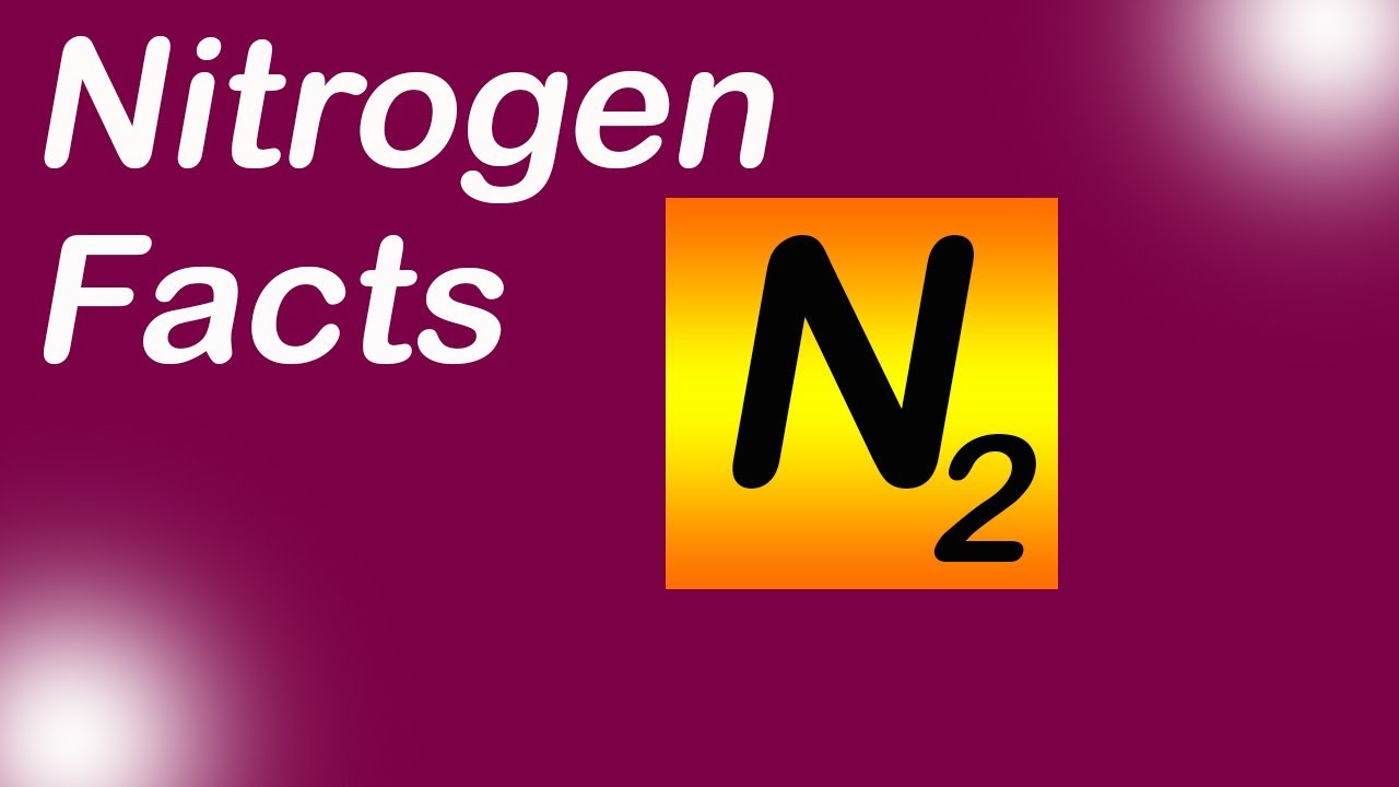 IMPORTANT NITROGEN FACTS | Nitrogen cycle and the soil - YouTube