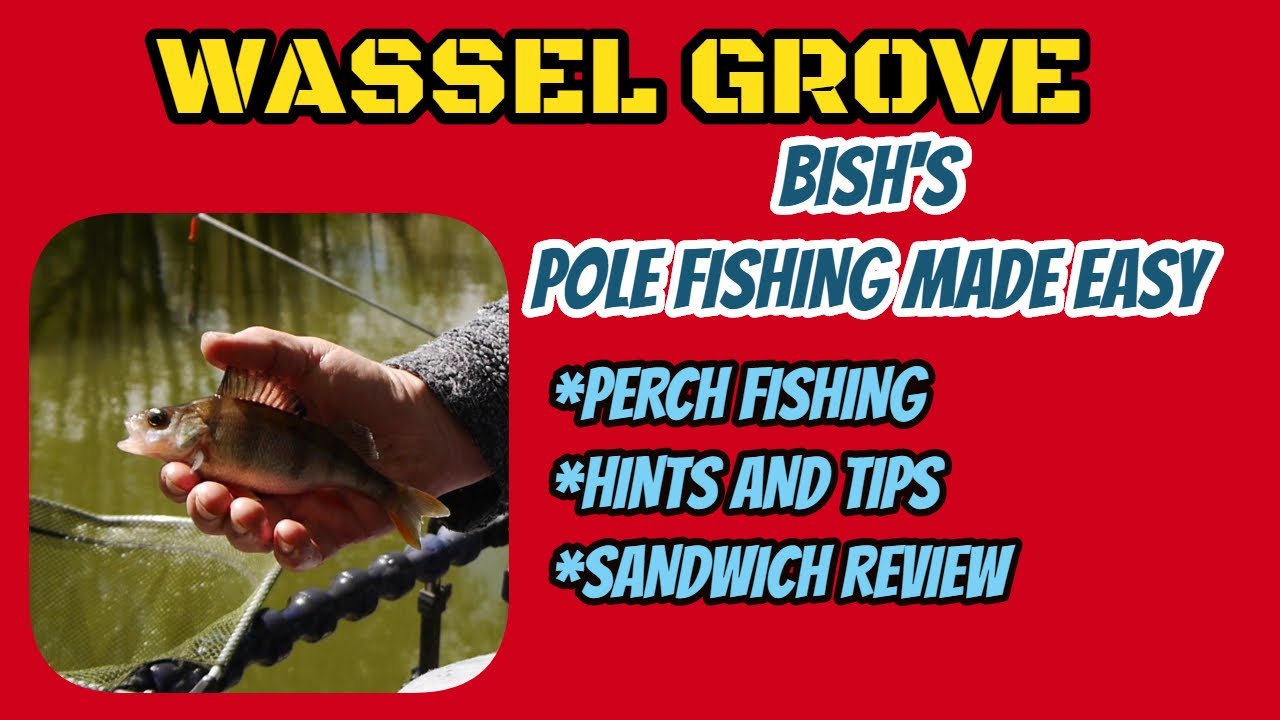 Pole Fishing Made Easy - PERCH - YouTube