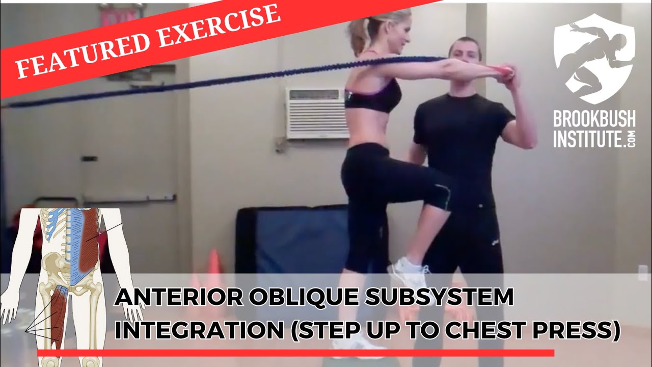 Anterior Oblique Subsystem Integration: Step Up to Chest Press - YouTube