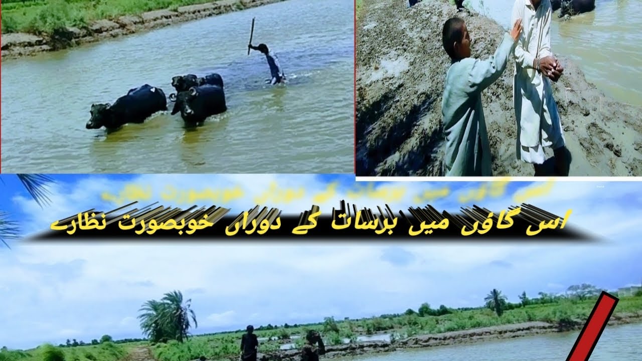 vlog about village life typically captures the essence of rural living ...