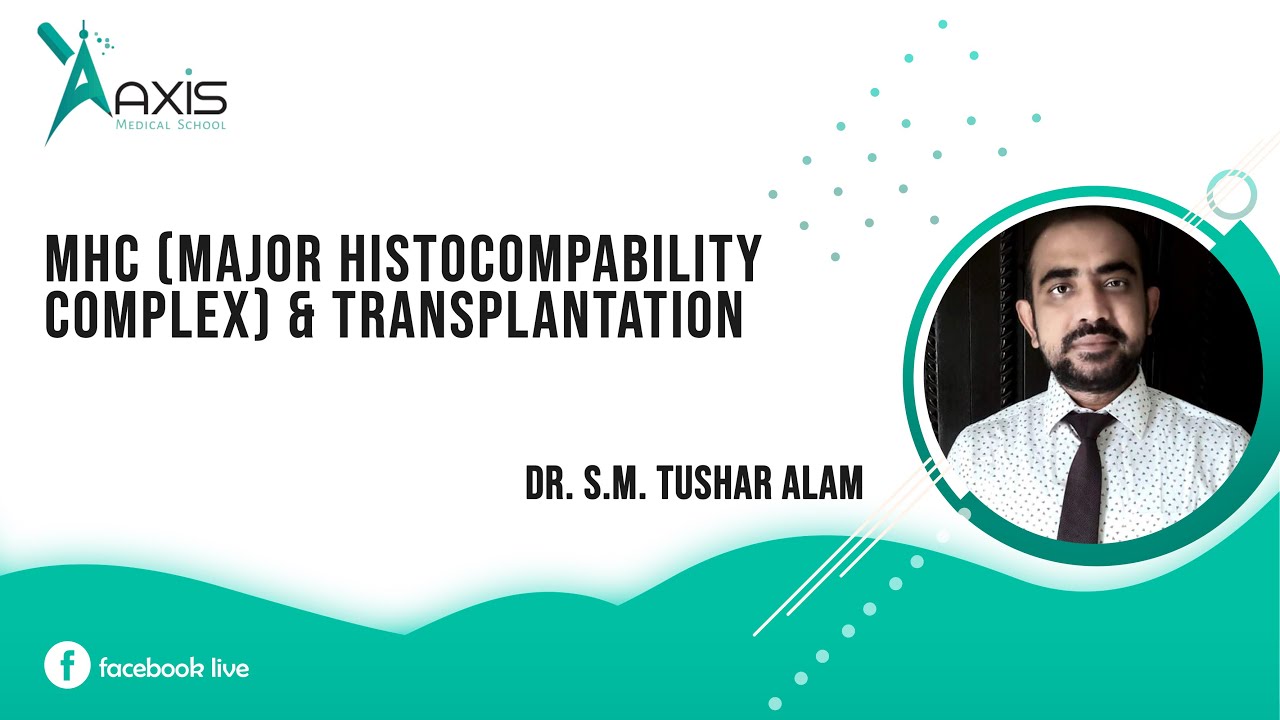 Immunology | MHC (Major Histocompability Complex) & Transplantation ...