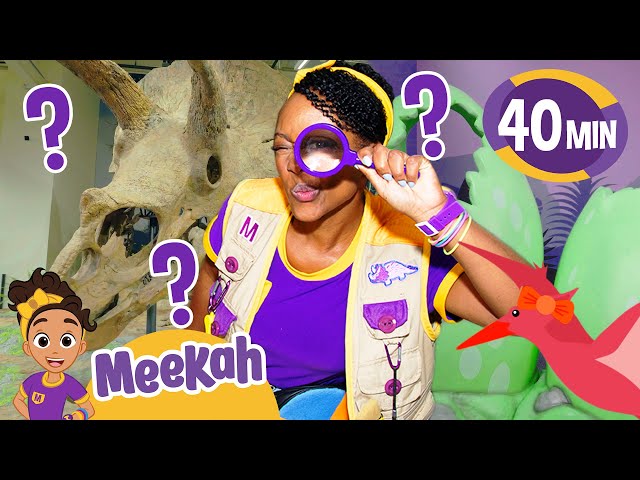 Solve the Mystery with Meekah | Educational Videos for Kids | Blippi ...