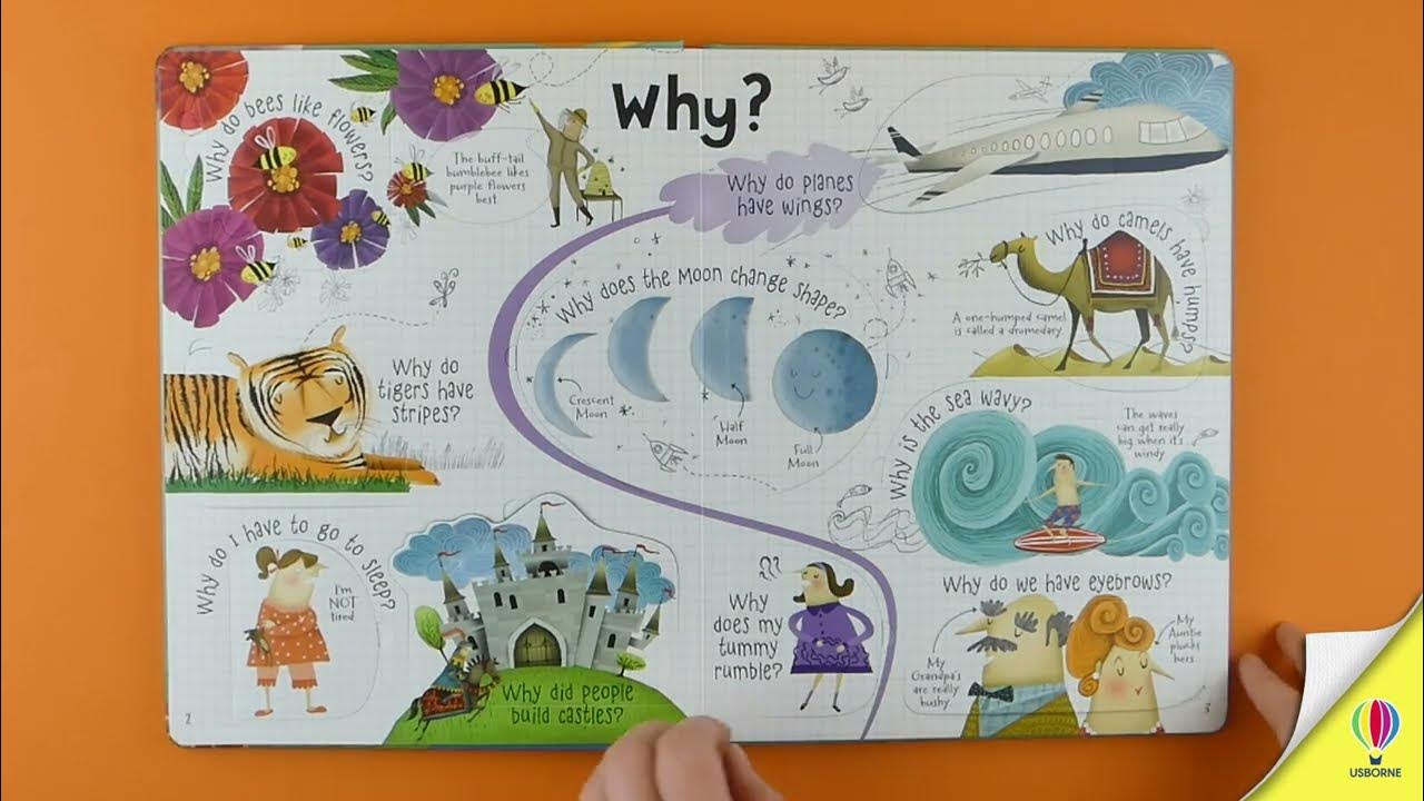 Lift-the-flap Questions and Answers - YouTube