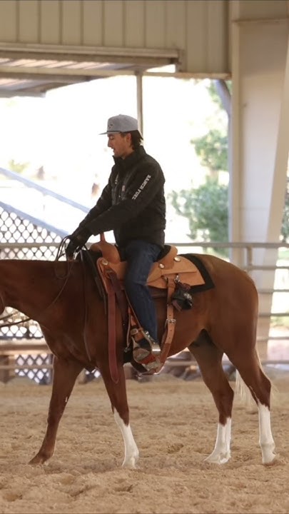 Luca Fappani teaches the spin - Reining with Luca - YouTube