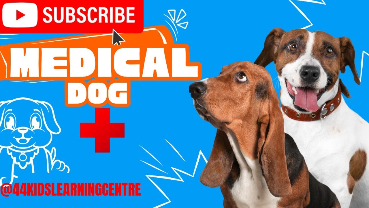 Meet the Hero Dogs: Life-Saving Canine Helpers in Hospitals! #dog # ...