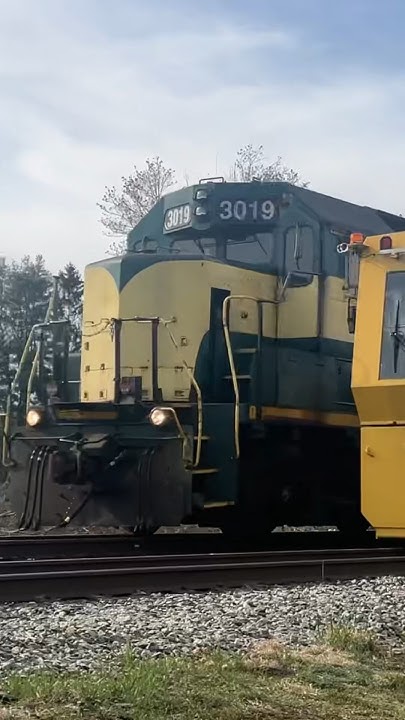 BAYL GP40-2 #3019 On Berkshire and Eastern #shorts #gp40 #berkshireandeastern #bayl # ...