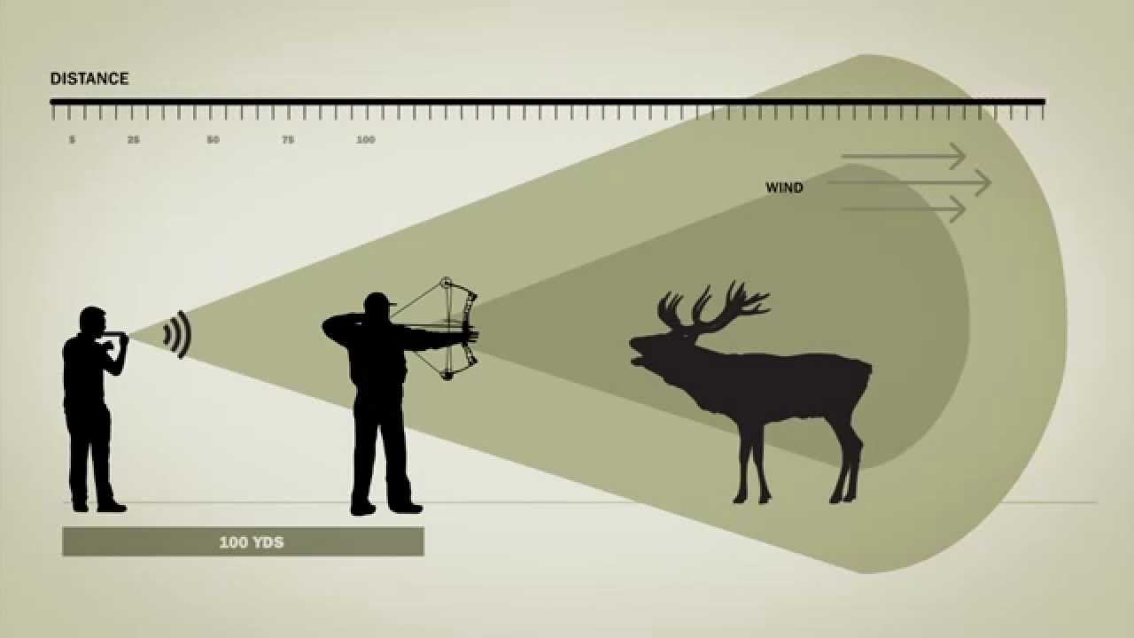 Knight and Hale Elk Hunting Tip - YouTube