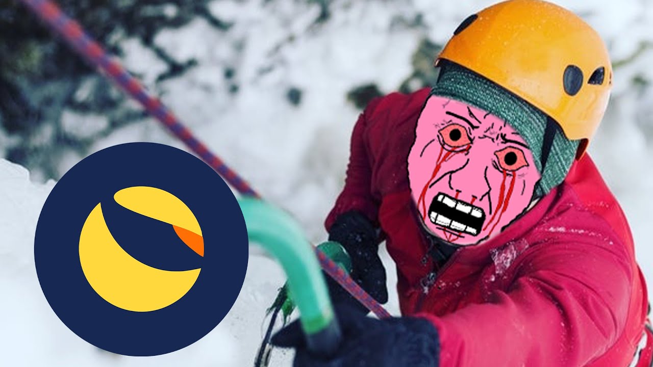 Wojak Goes Monk Mode After Investing in Terra Luna Ponzi Scheme - YouTube