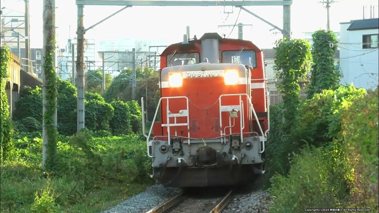 DD51 1183号機が牽引する鷹取工臨返空の撮影です。（R6.10.14） - YouTube