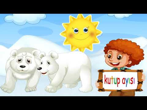 K ile başlayan hayvan isimleri 8.bölüm. Çocuklar için okul öncesi eğitici videolar