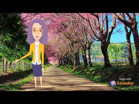 Aytül Akal Hayatı 🌸