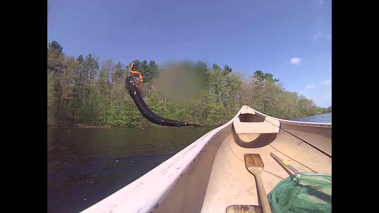 Fishing at Jacobs Pond in Norwell, Massachusetts - YouTube