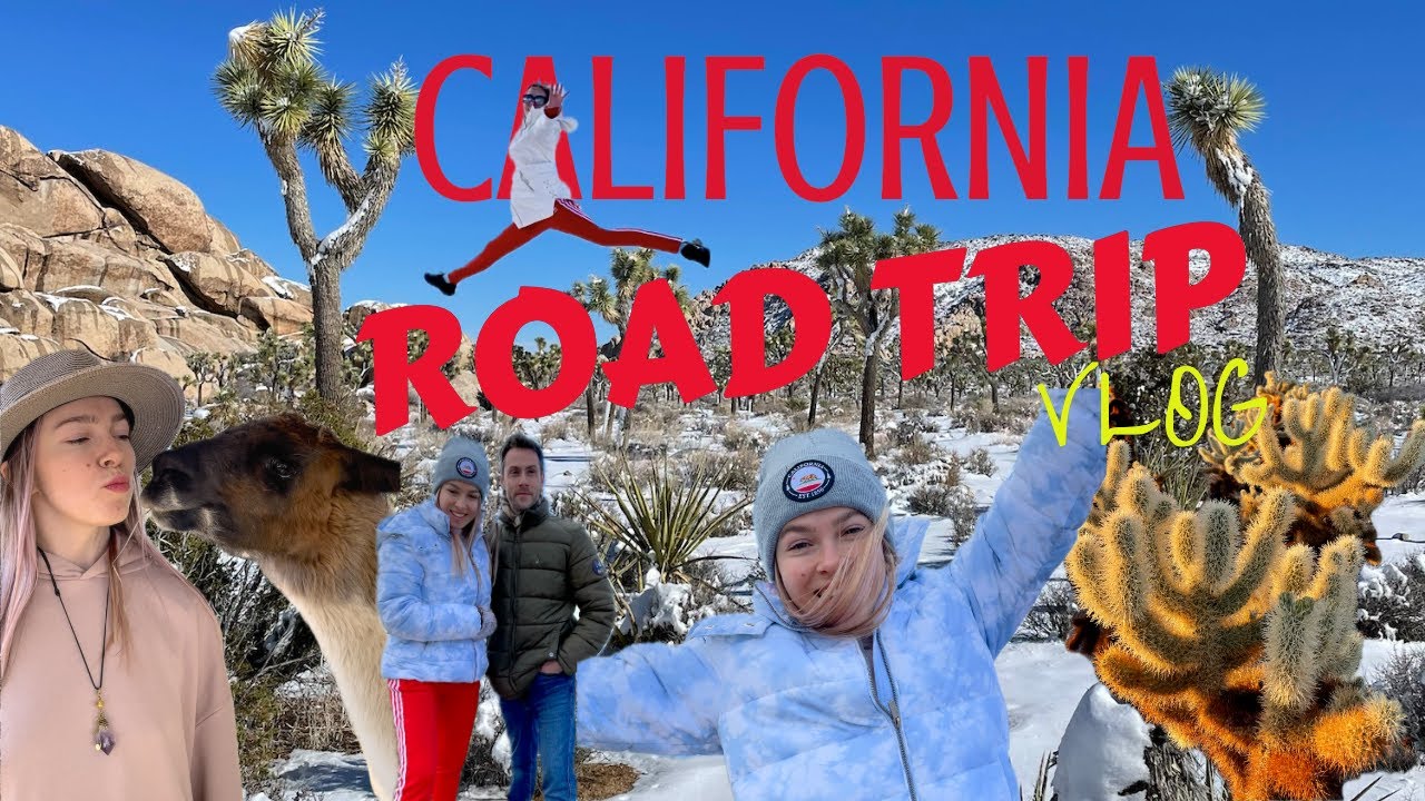 CALIFORNIA Trip Part II: Snow in Desert, Alpacas, Malibu - YouTube
