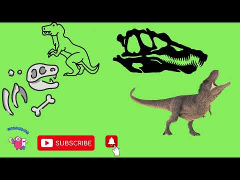 green screen dinosaur photos