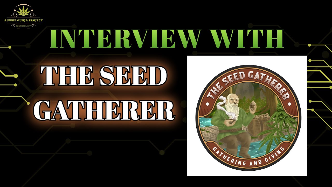 AGP: Interview with THE SEED GATHERER - YouTube