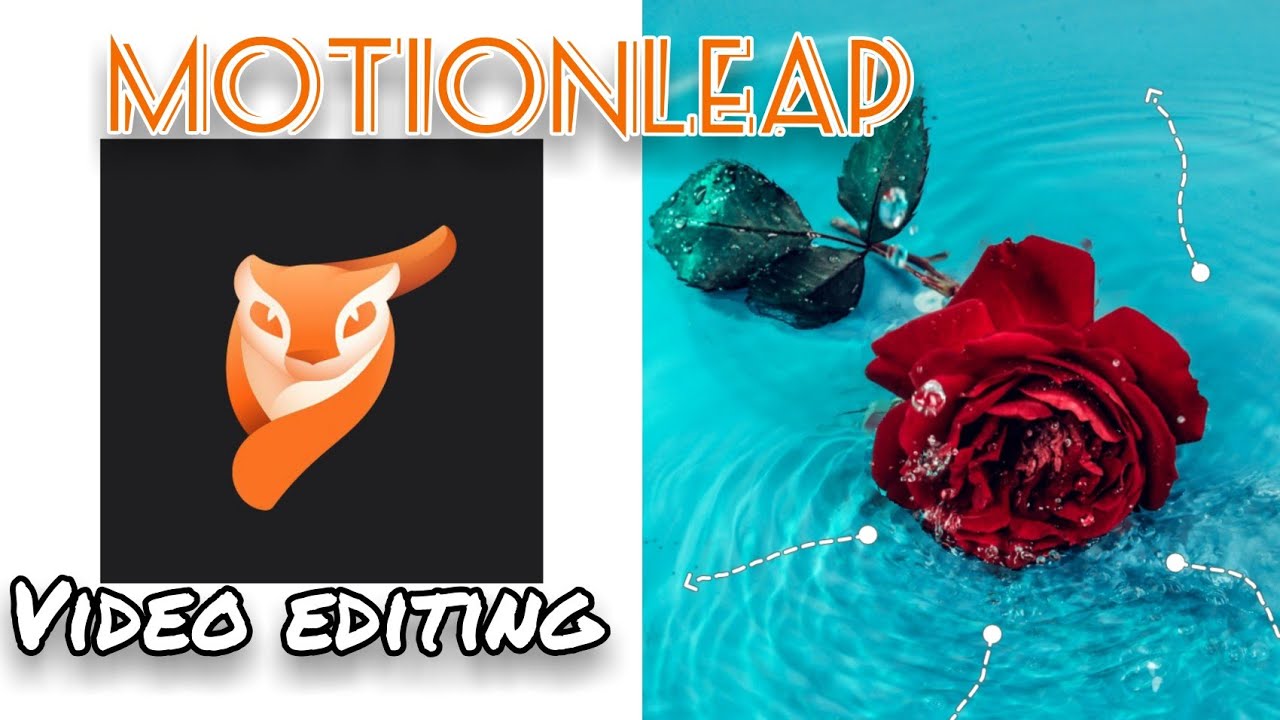 motionleap app/ video editing / simple method/ loop model video ...