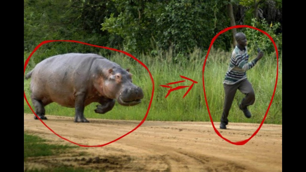 gente increíble y Genial - nivel dios - YouTube