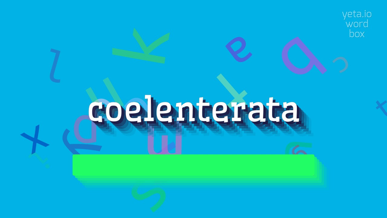 How to say "coelenterata"! (High Quality Voices) - YouTube