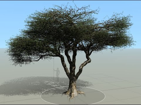 SpeedTree Tutorial: Modeler Basics Curso em portugues AULA 04 - YouTube