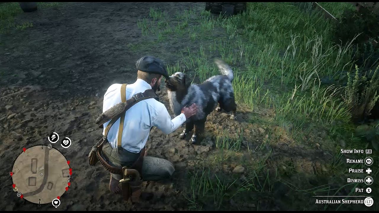 Finally we can Pet any Dog RDR2 #Shorts - YouTube