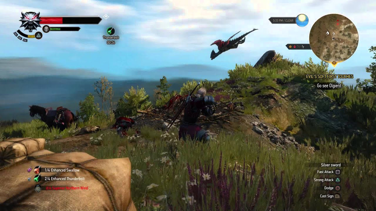 The Witcher 3: Hearts of Stone - Draconid Nest Destroyed: Forktail Levl ...