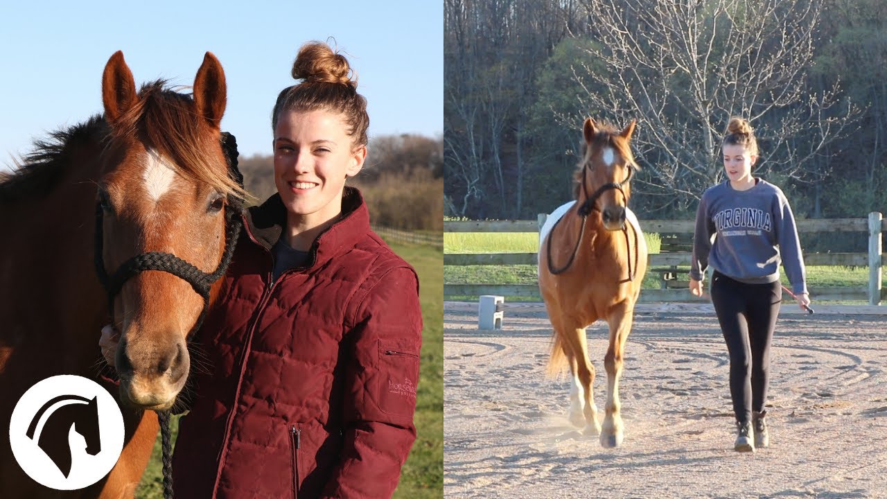 How To Do Liberty Training With Your Horse (For Beginners) - YouTube