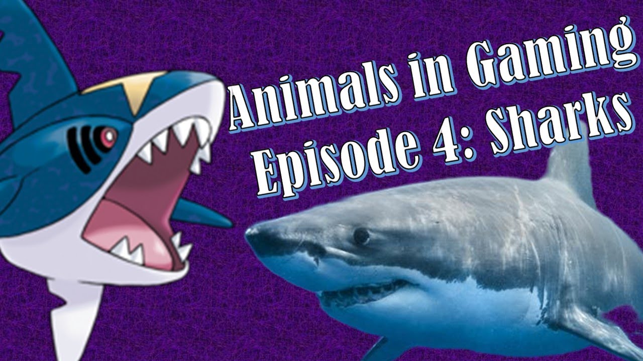 Animals in Gaming: Sharks - YouTube